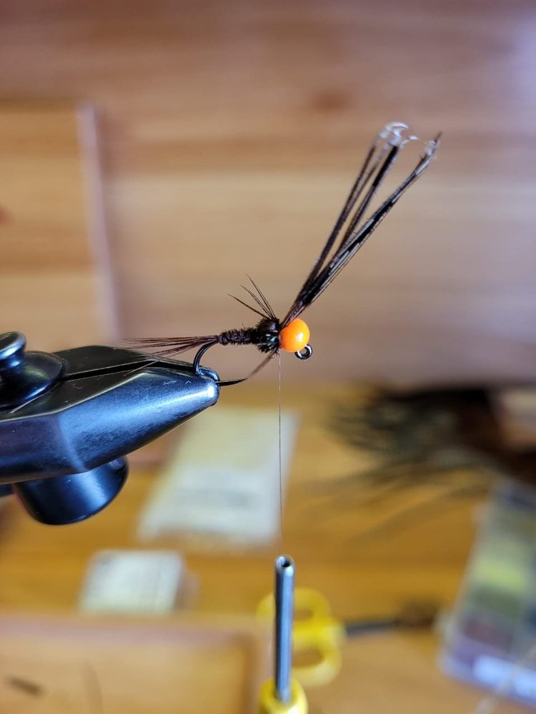 Hot Spotted Pheasant Tail Fly Pattern — El Encuentro Fly Fishing