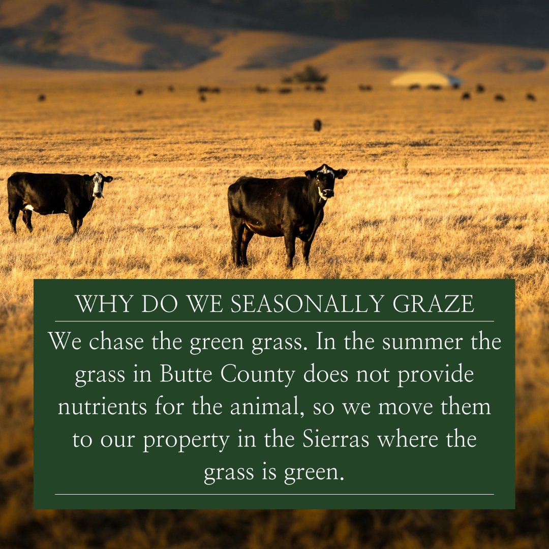 About | Family Owned & Operated — Bradley Grass Fed Beef