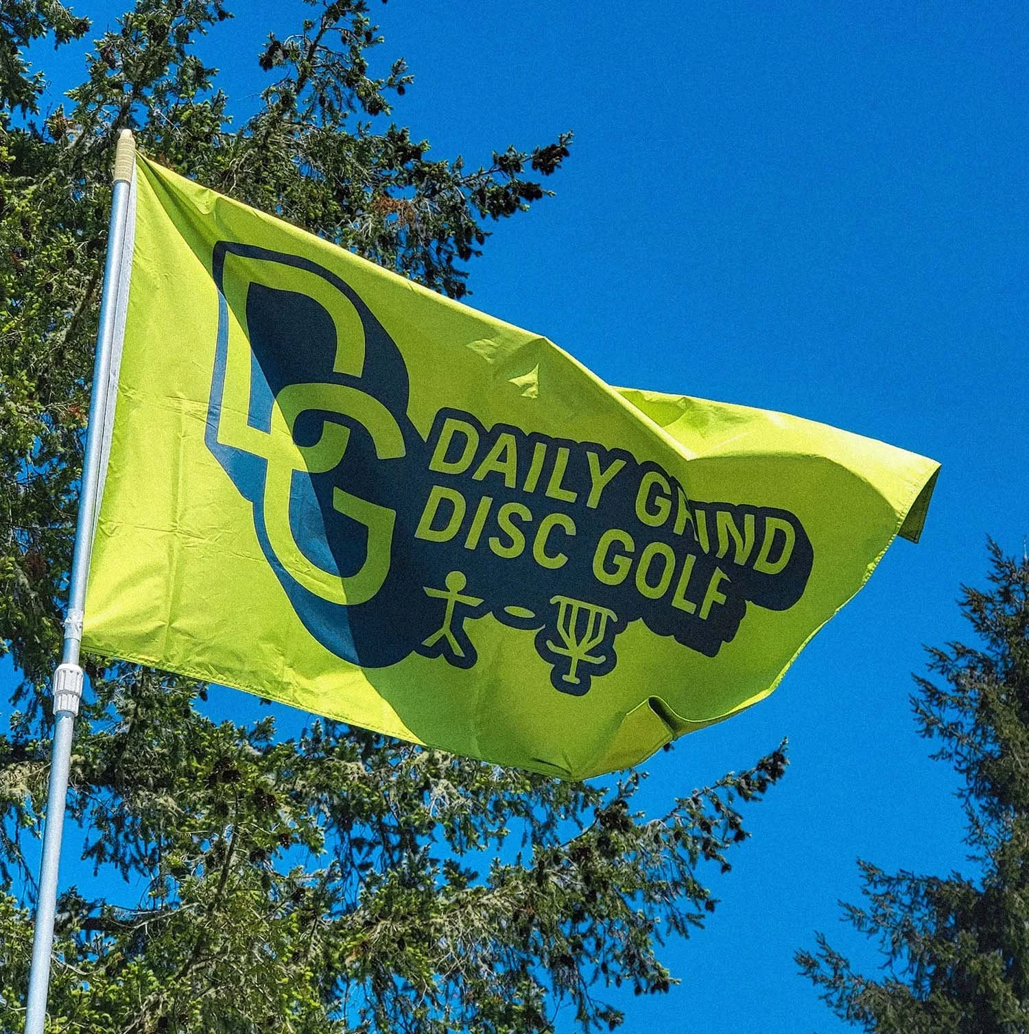 Daily Grind Disc Golf
