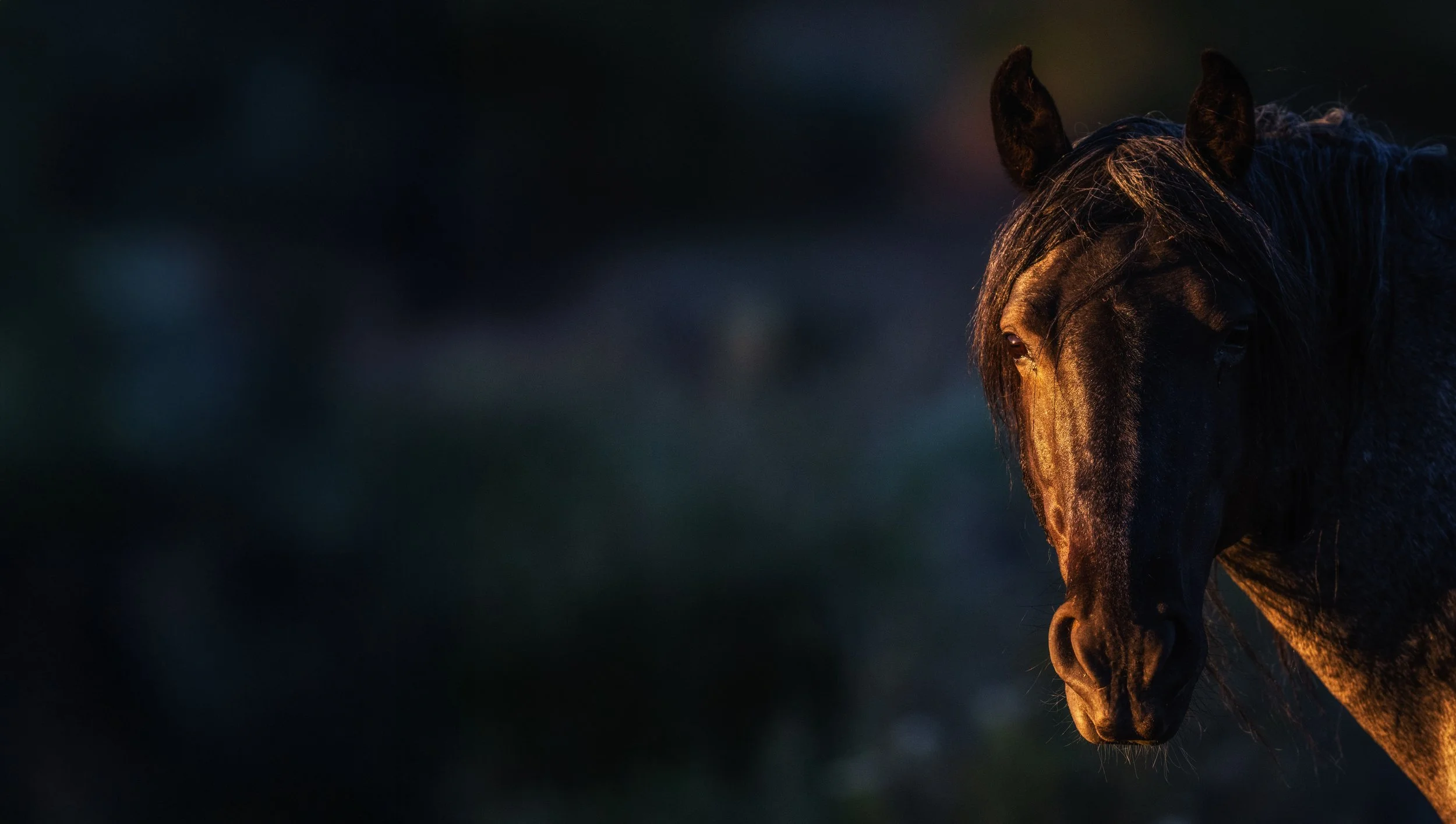 Blue Zeus The Film — Blue Zeus