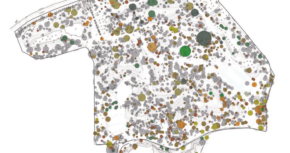 Mapping the Trees — El Bosque Nosara
