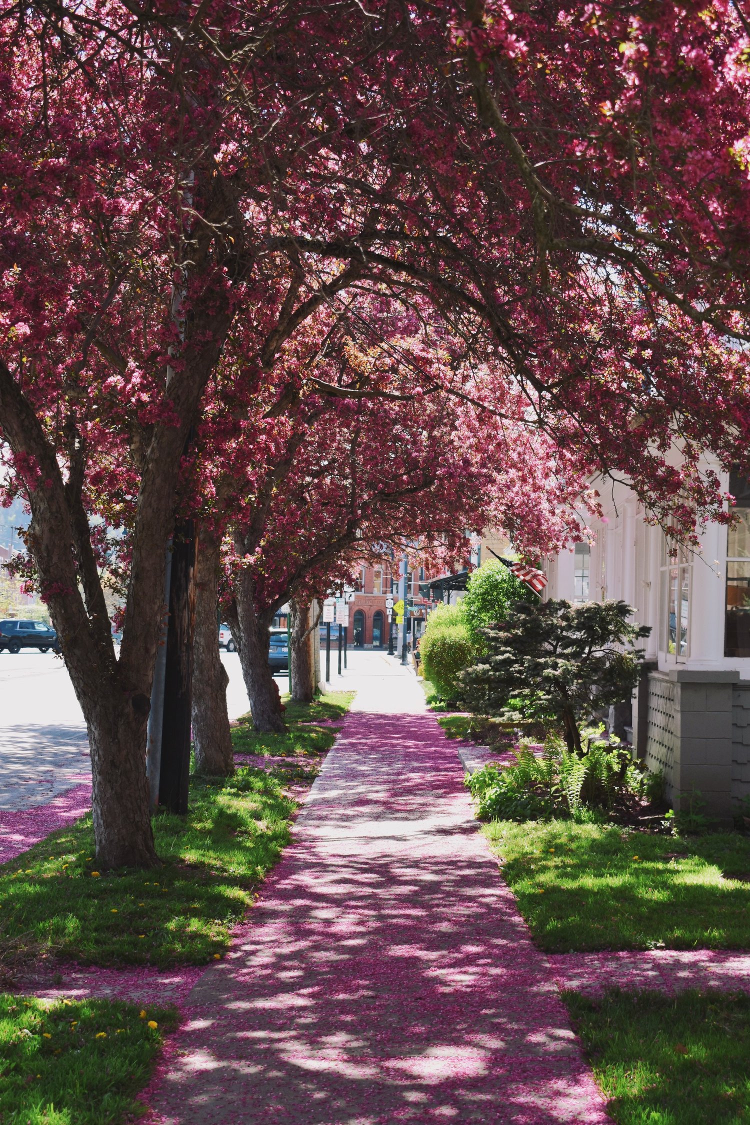 Hamilton Chamber of Commerce