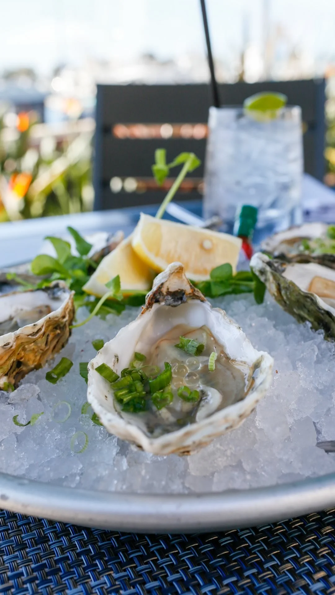 Sally's Fish House & Bar