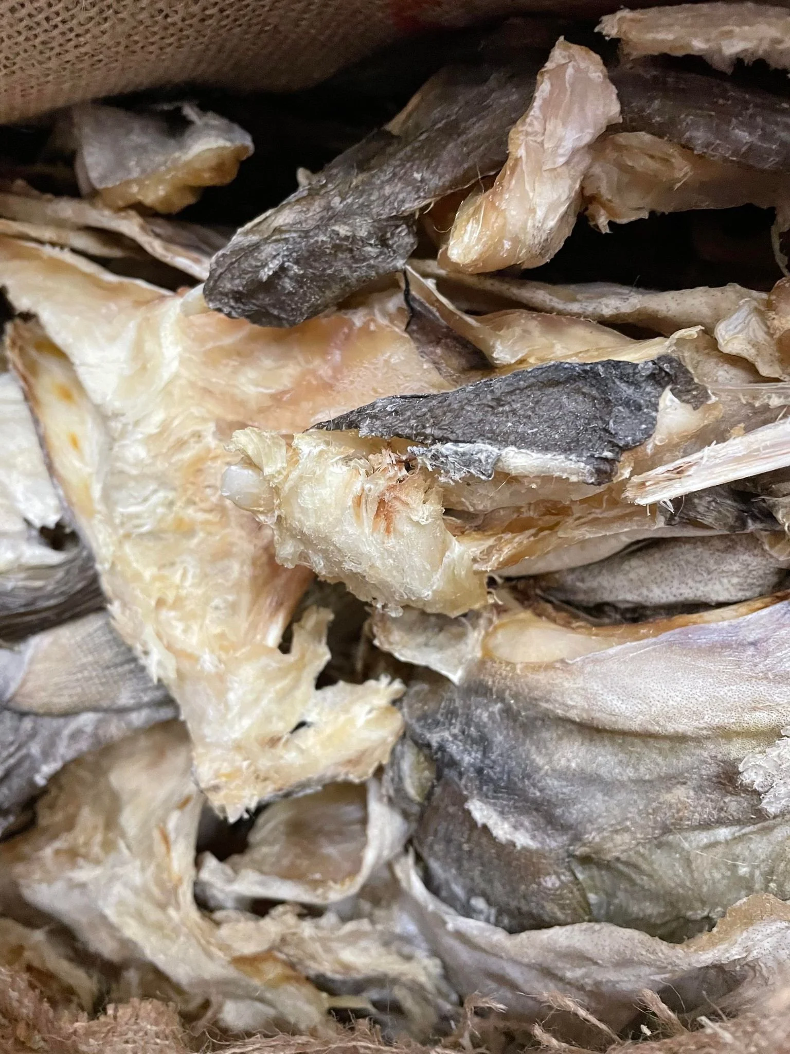 Dry Heads and Cuts — SUFI AS