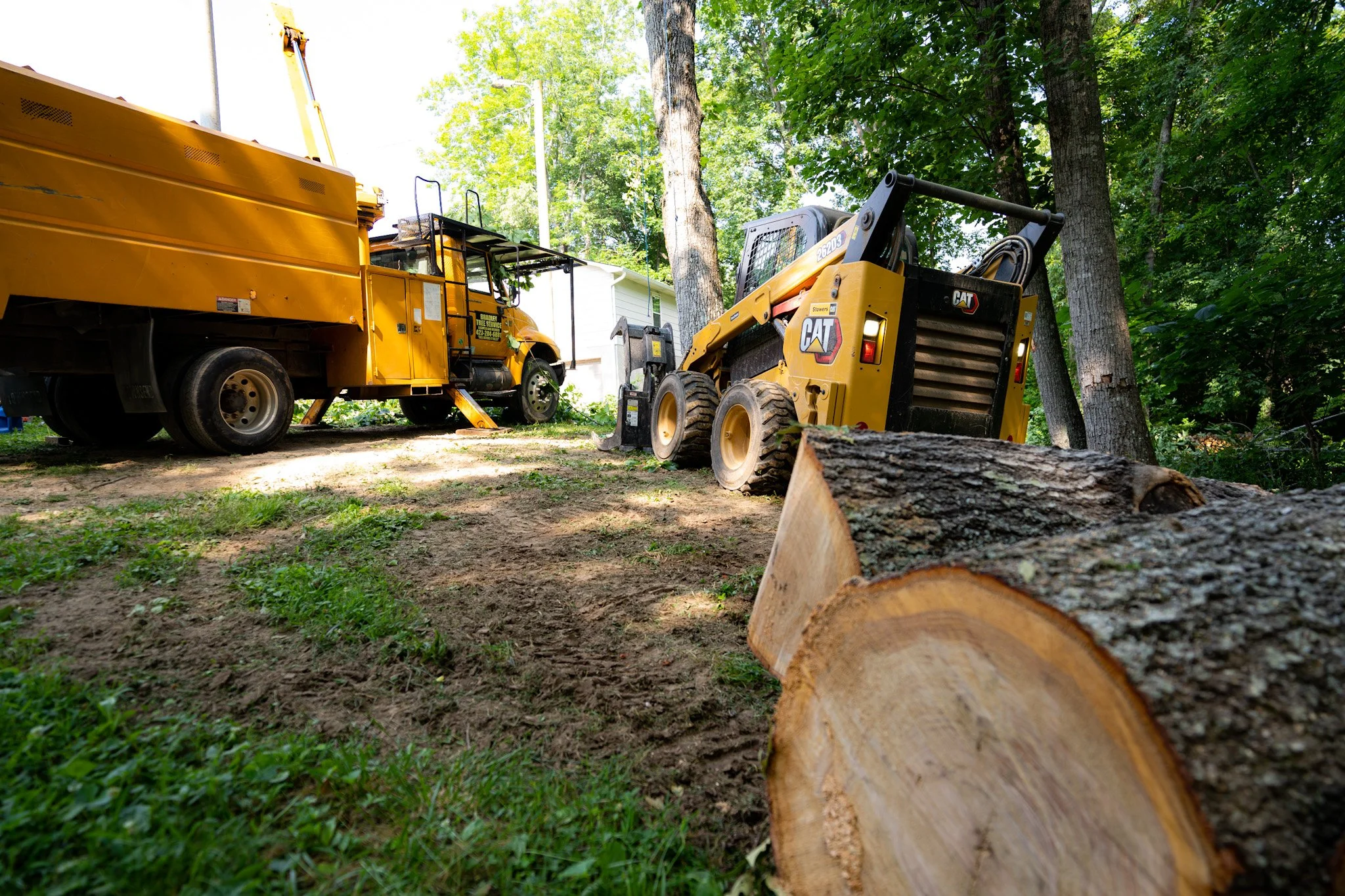Bradley Tree Service & Excavating