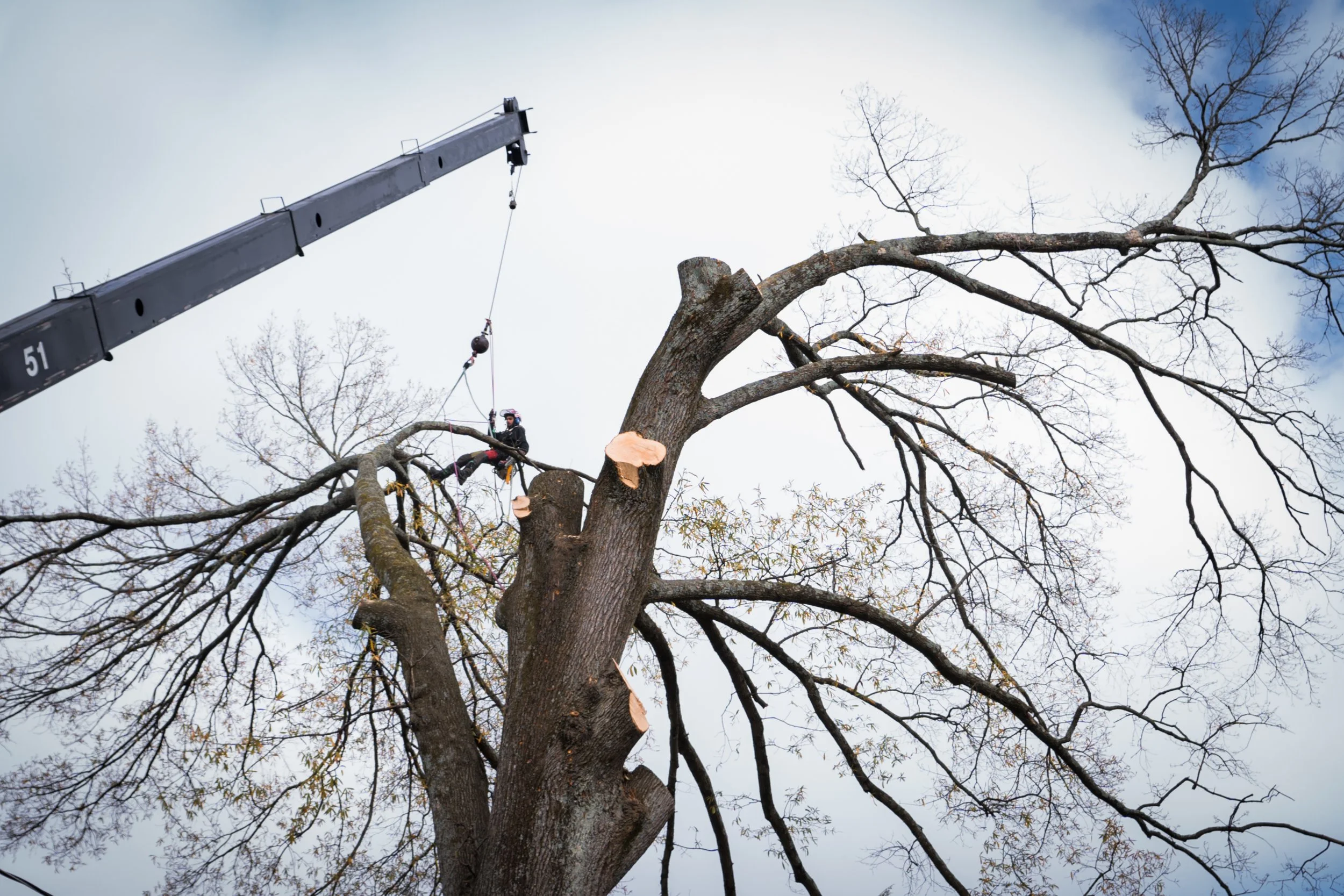 Bradley Tree Service & Excavating