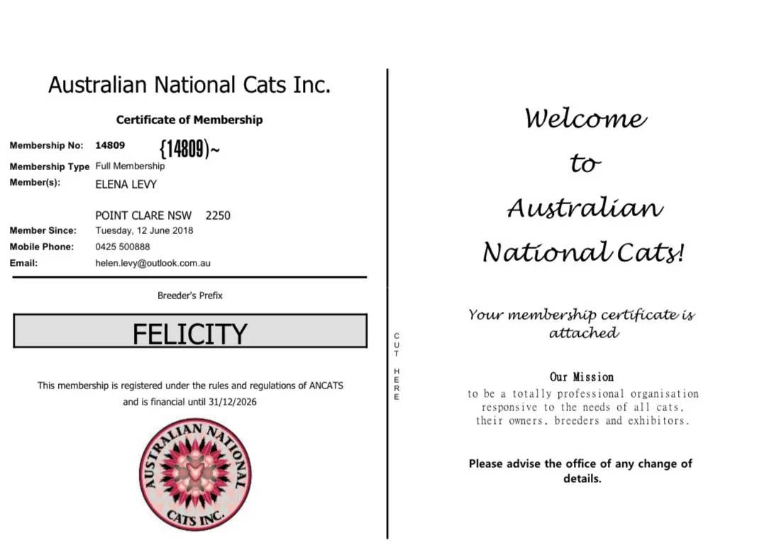 About Us — Felicity Cats