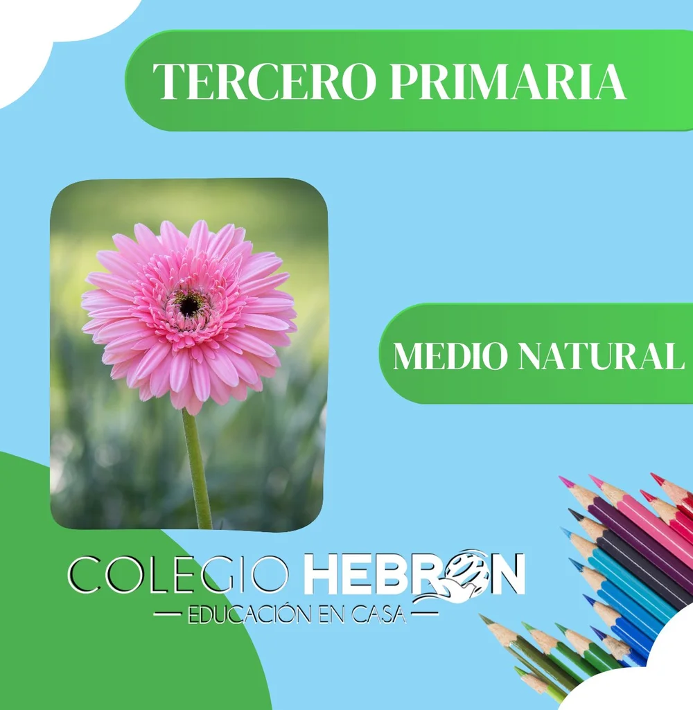 Libros de texto — Colegio Hebrón