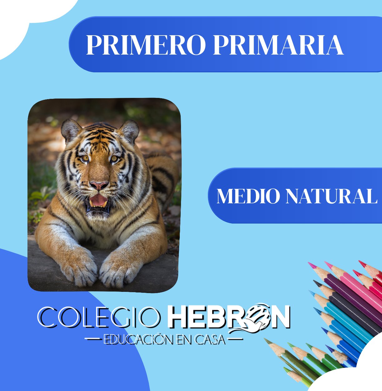 Libros de texto — Colegio Hebrón