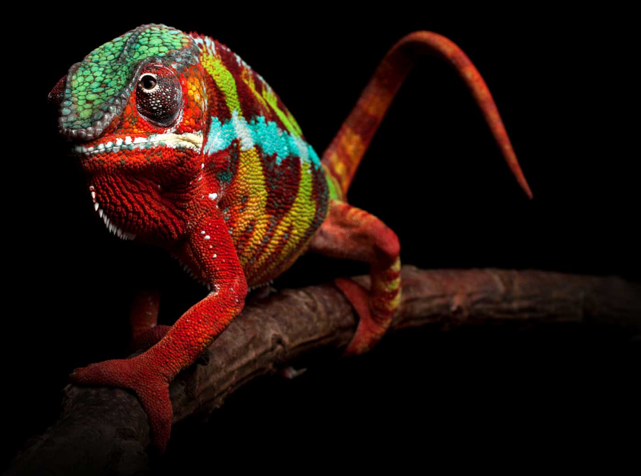 Real Estate — Valla Independent Jersey Trust Company