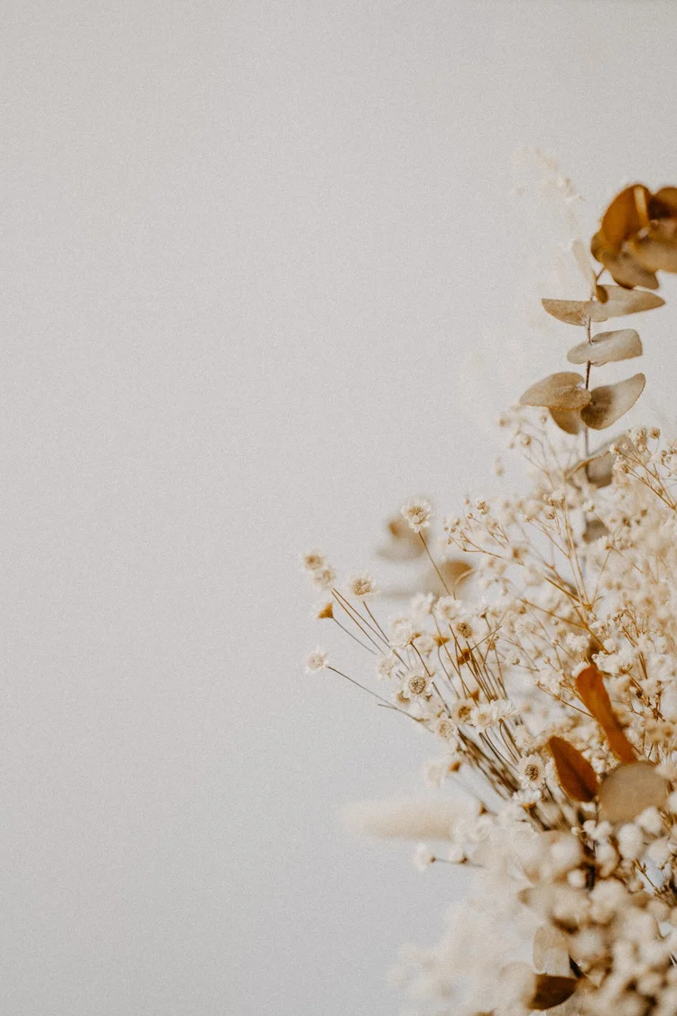Anxiety Therapy | Yellow Leaf Therapy