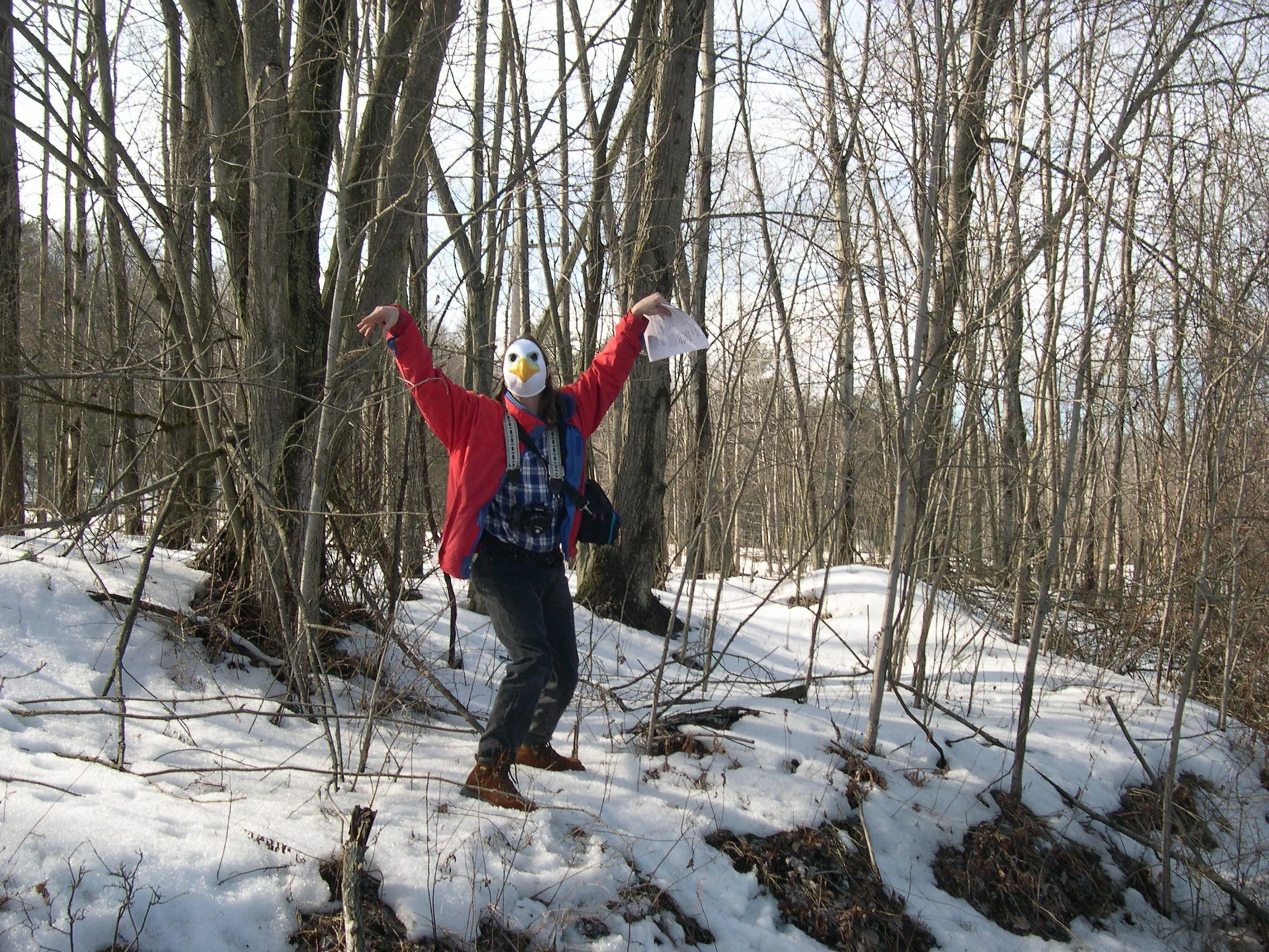Hike Eagle and Balsam Mountains — Catskill Mountain Club