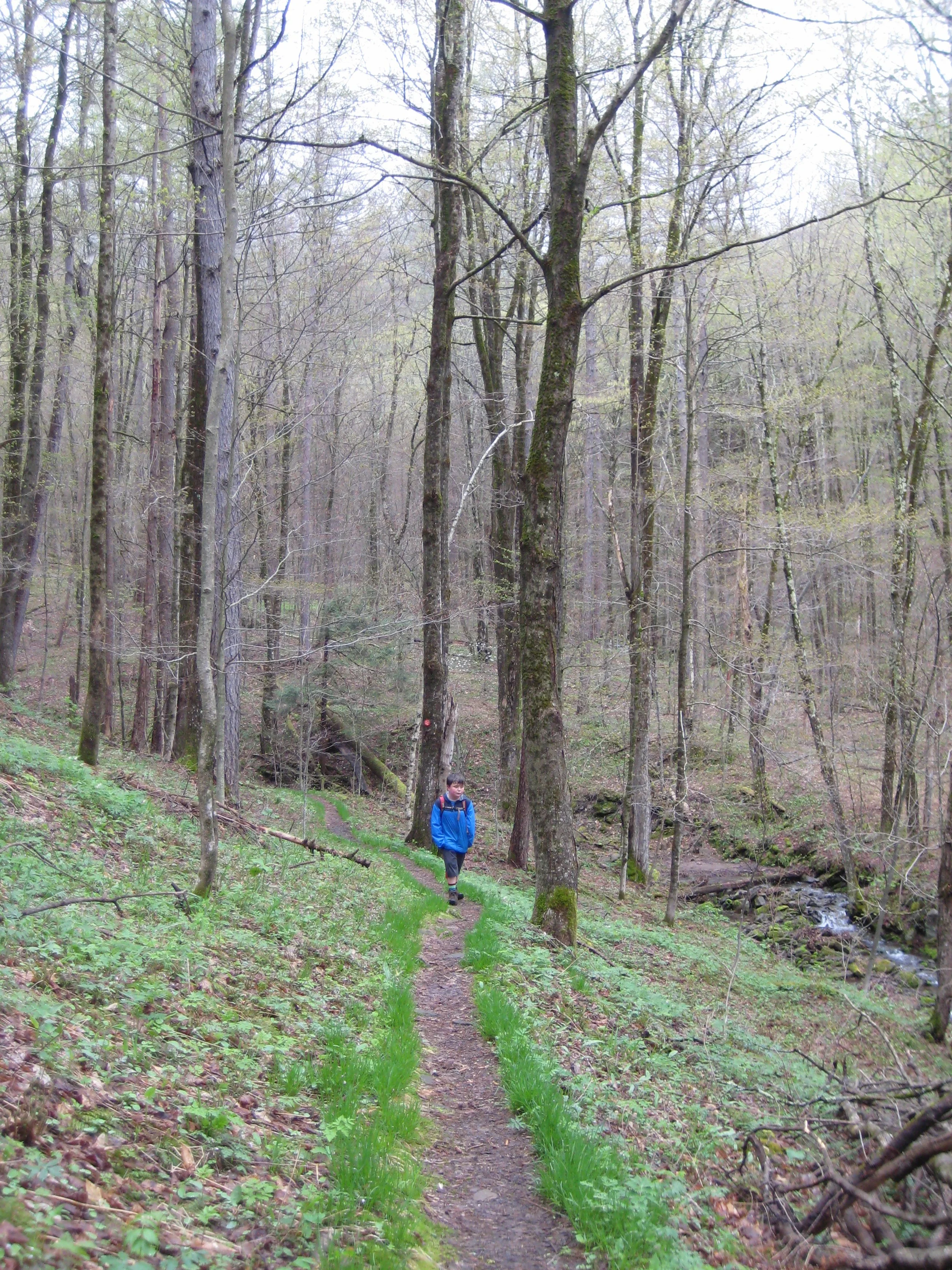 Fir, Big Indian, Eagle, & Balsam Mountains — Catskill Mountain Club