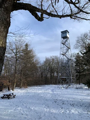 Red Hill Fire Tower — Catskill Mountain Club