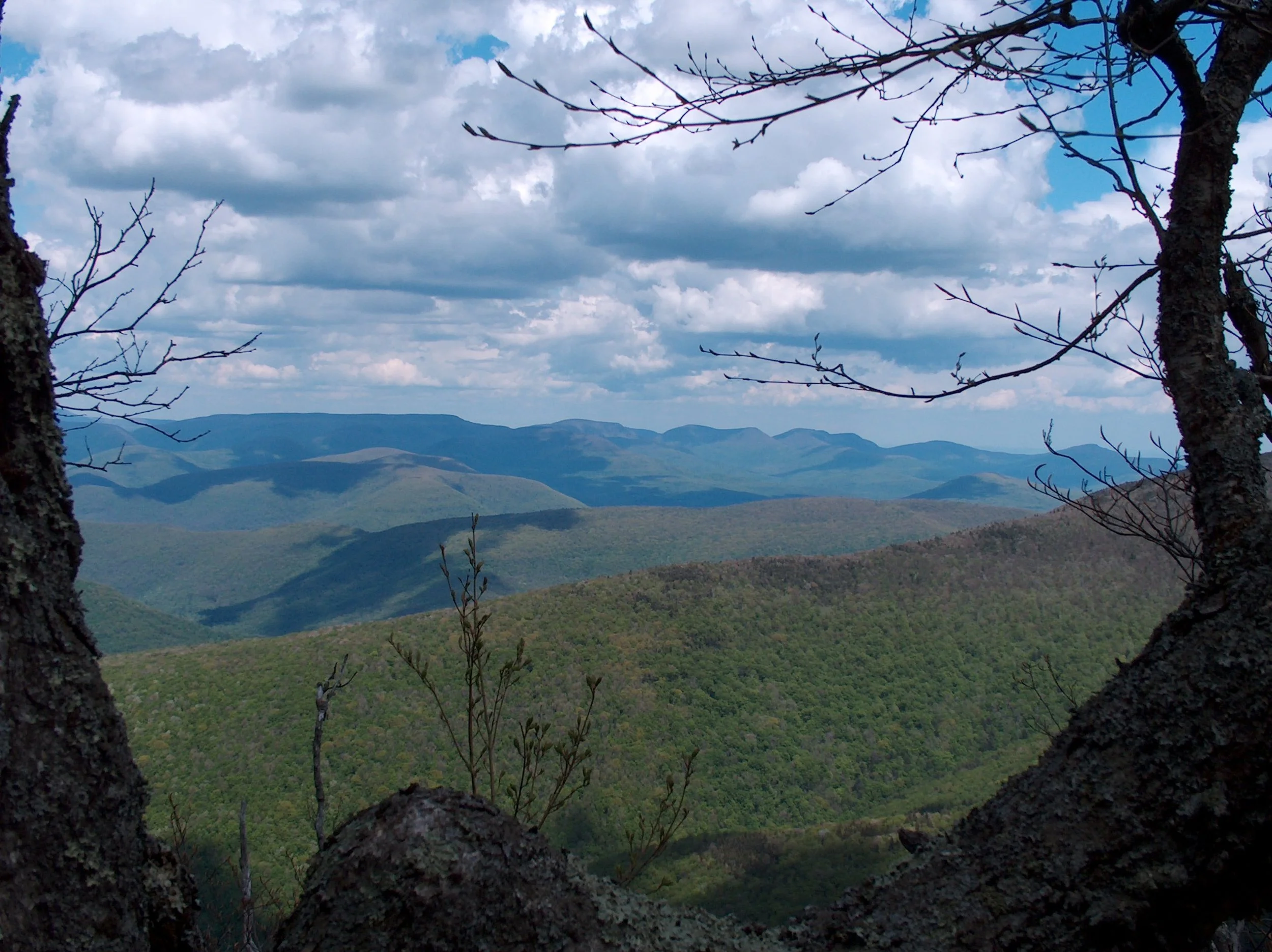 Catskill Mountain Club
