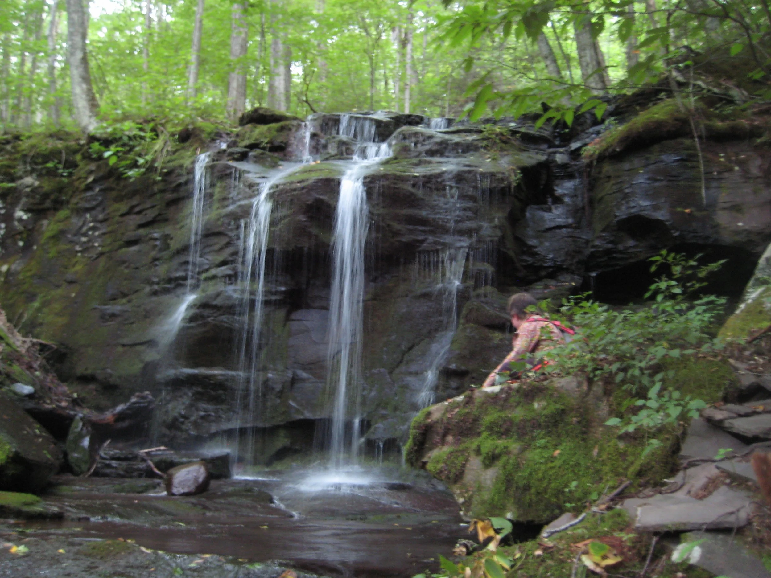 Vly & Bearpen Mountains (a.m.), Halcott Mountain (p.m.) — Catskill ...