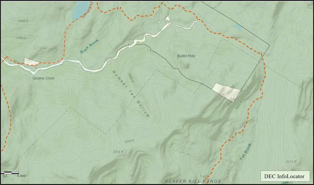 Hike the Neversink Hardenburgh Trail — Catskill Mountain Club