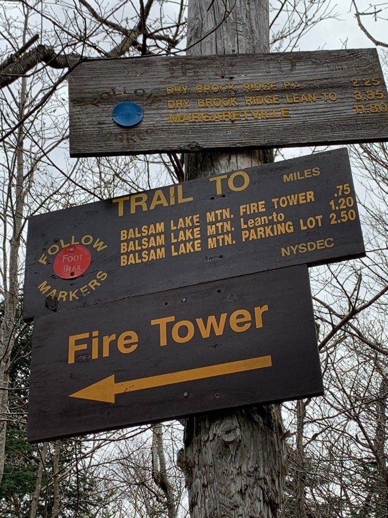 Hike Balsam Lake Mountain from Alder Lake — Catskill Mountain Club
