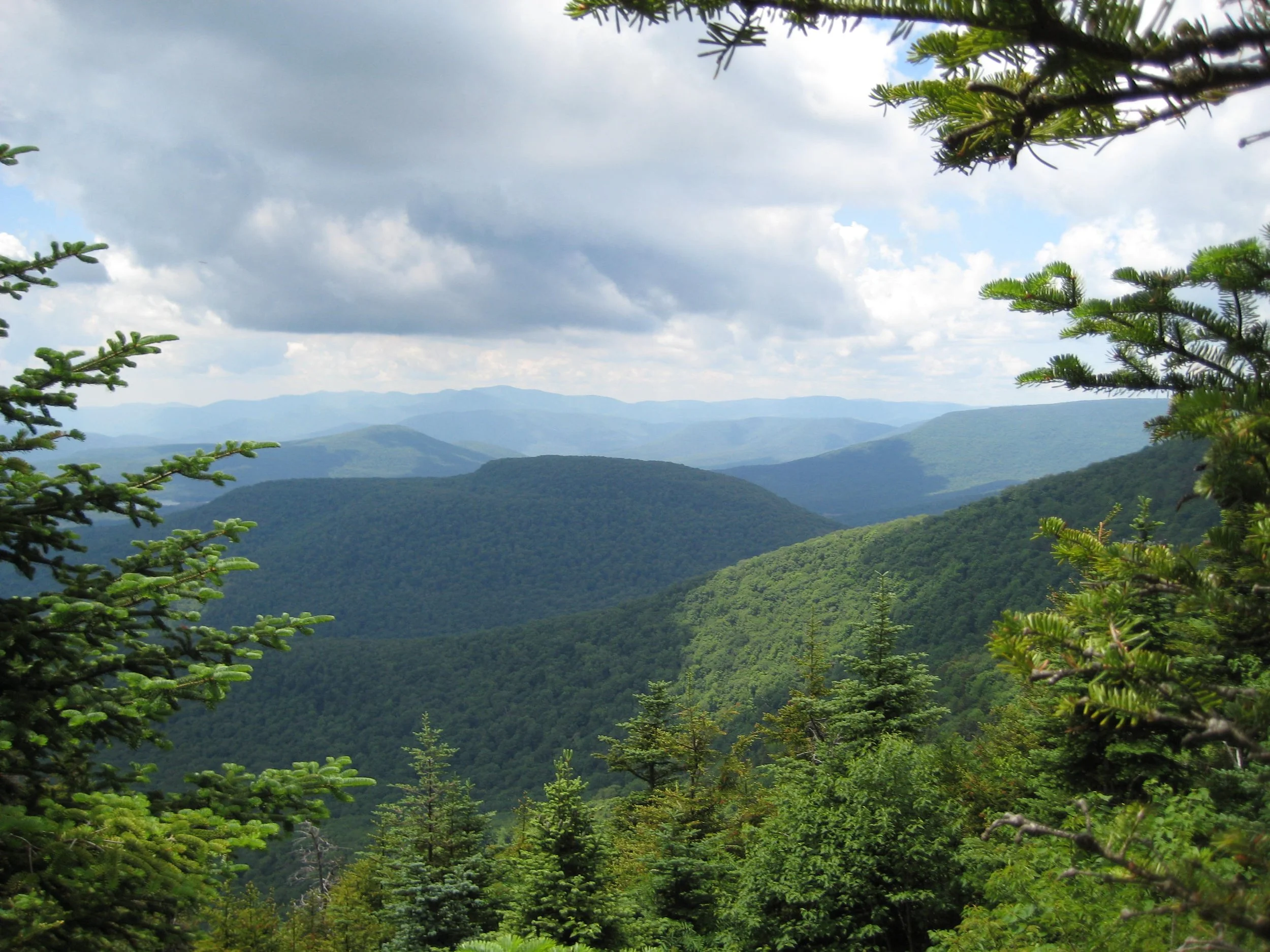 Catskill Mountain Club