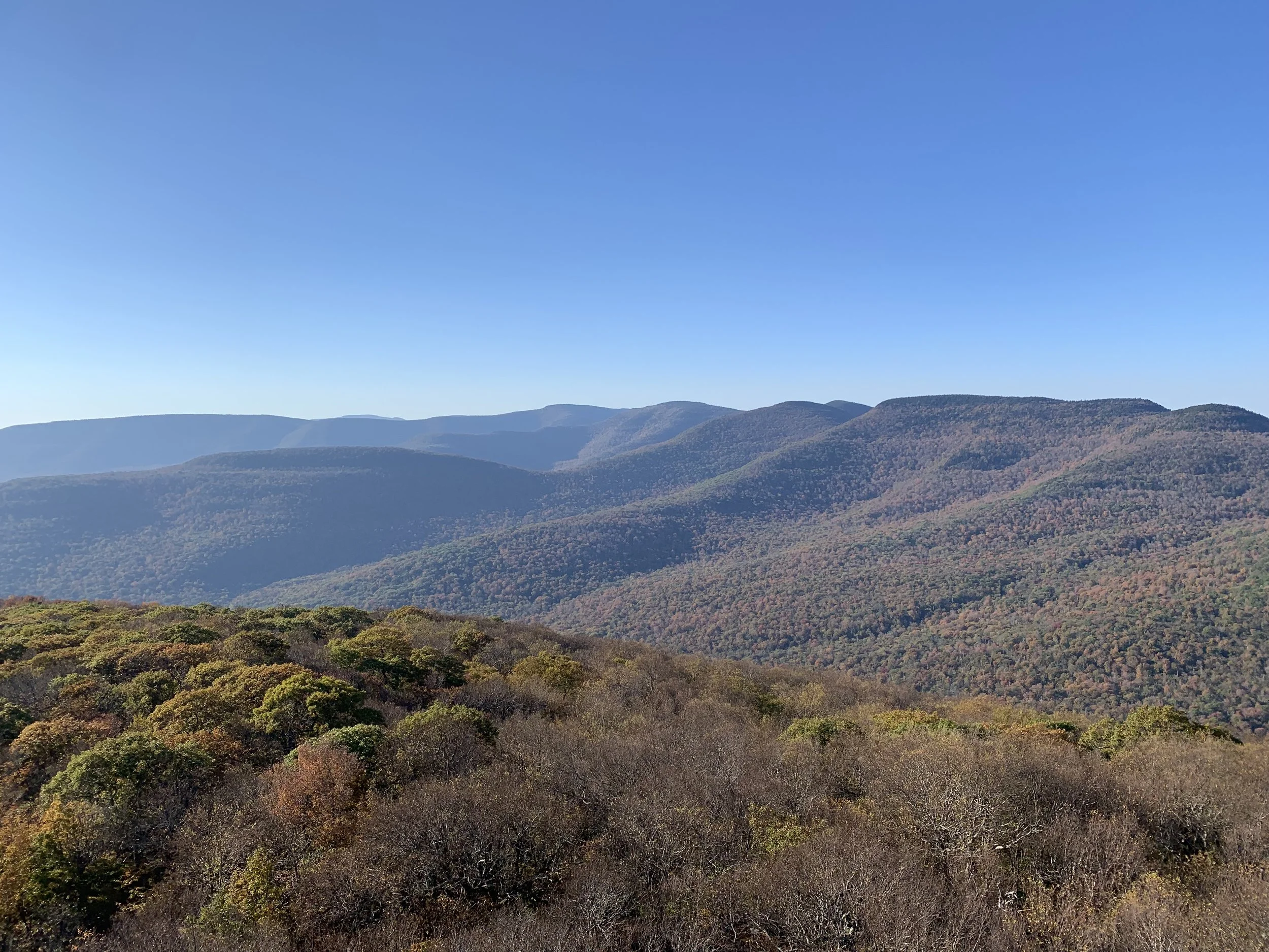Hike to Plateau, Sugarloaf, Twin, and Indian Head Mountains — Catskill ...