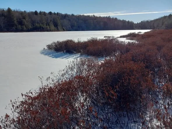 Long Pond and the Willowemoc Creek (Rescheduled to March 8.) — Catskill ...