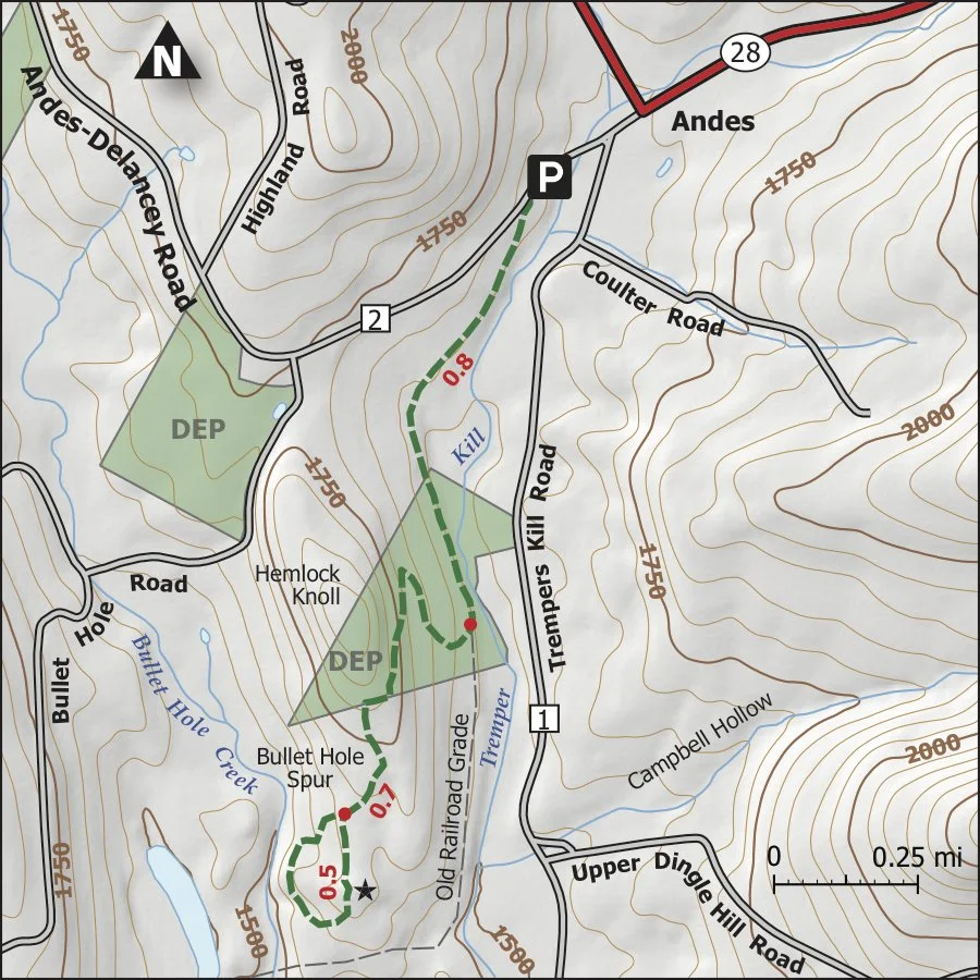 Andes Rail Trail and the Bullet Hole Spur — Catskill Mountain Club