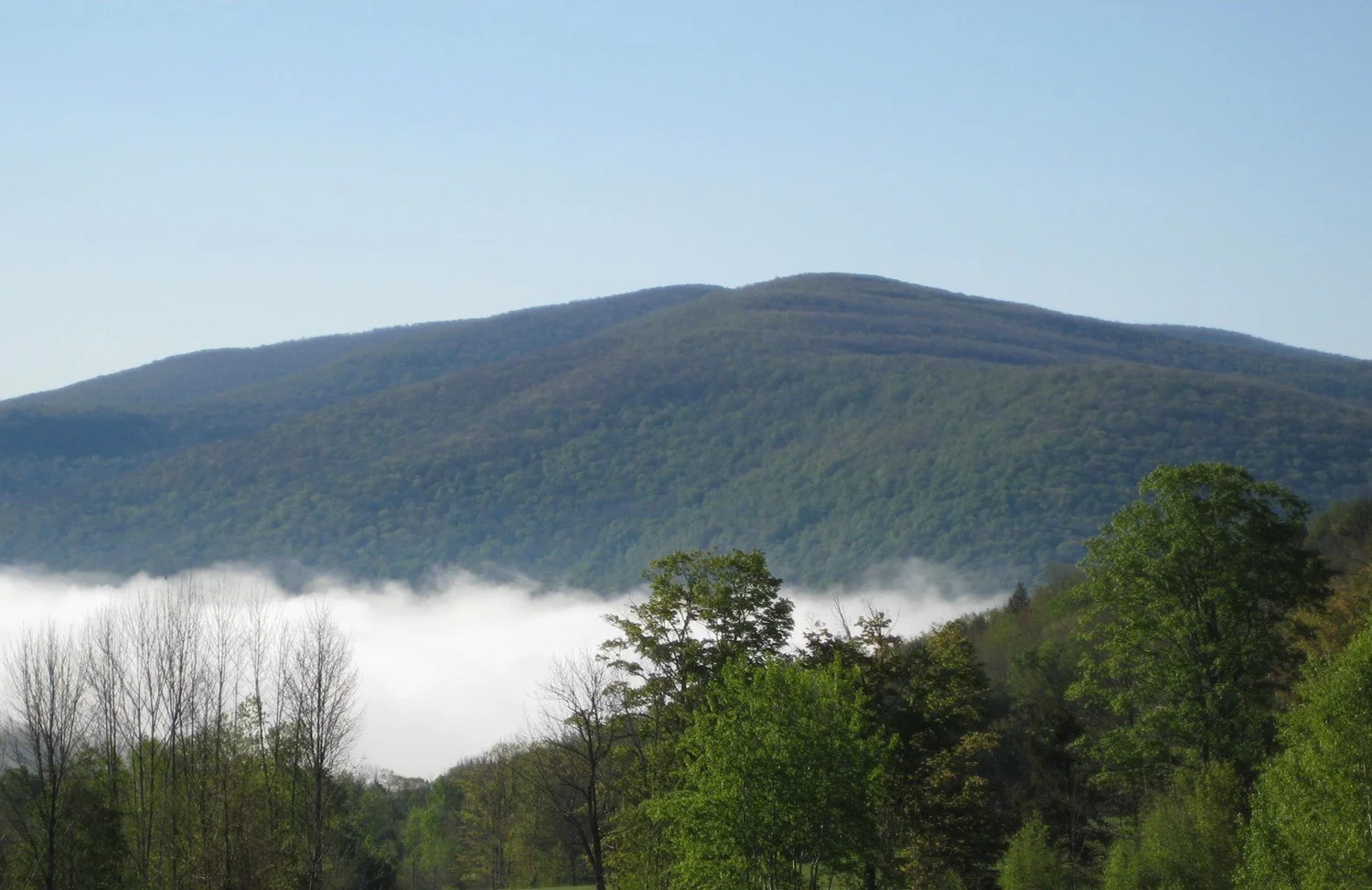Dry Brook Ridge via Huckleberry Loop — Catskill Mountain Club
