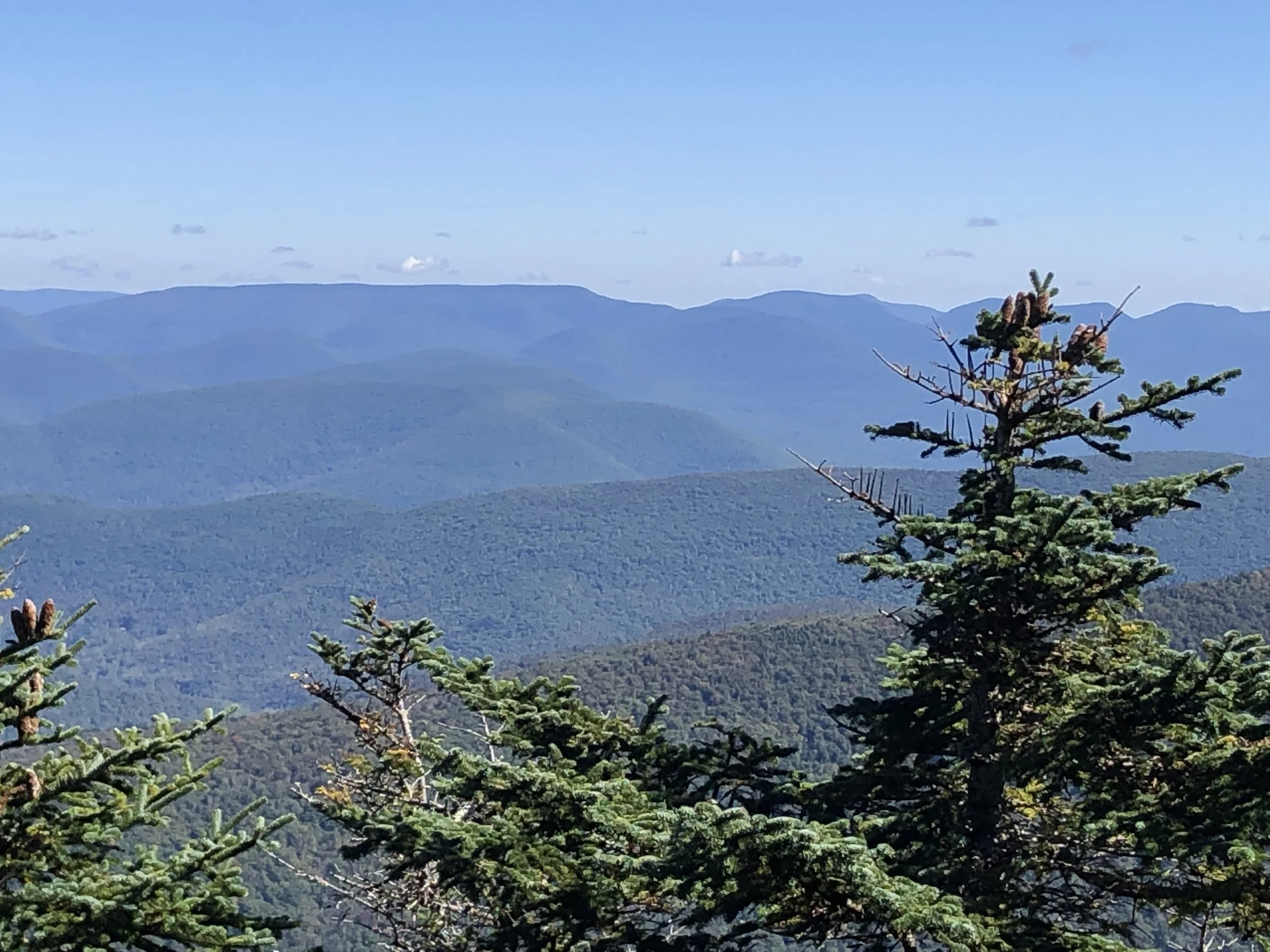 Hike Panther and Slide Mountains — Catskill Mountain Club