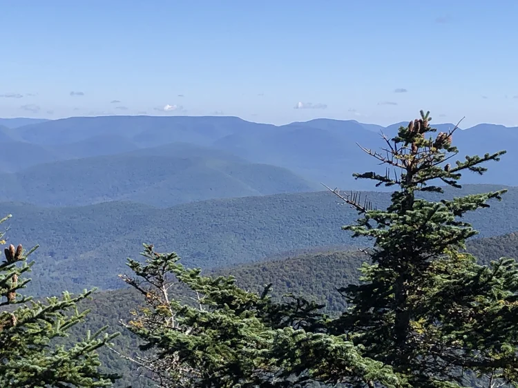 Hike Panther and Slide Mountains — Catskill Mountain Club