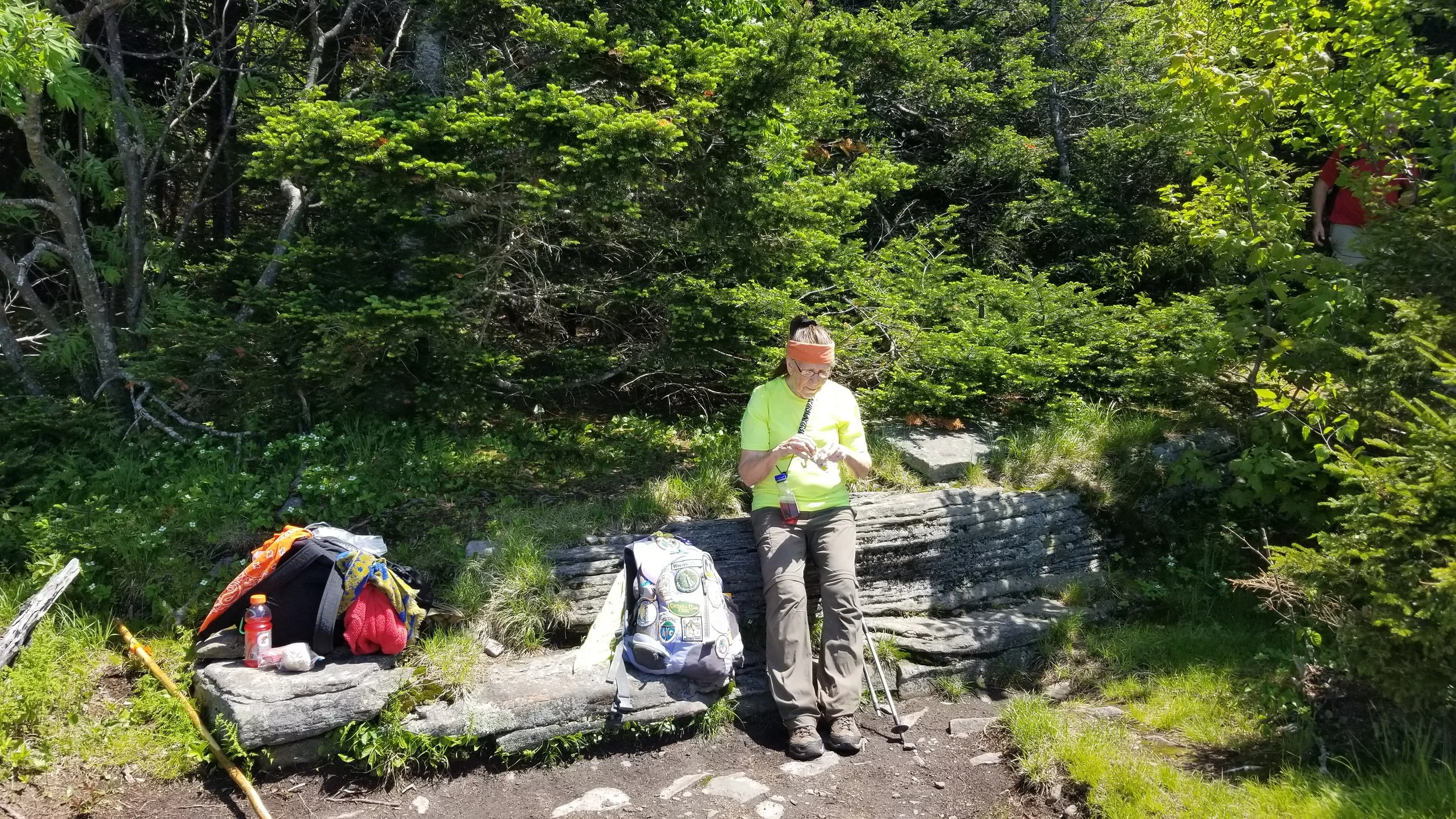 Plateau Mountain with Views on the Devil's Path — Catskill Mountain Club