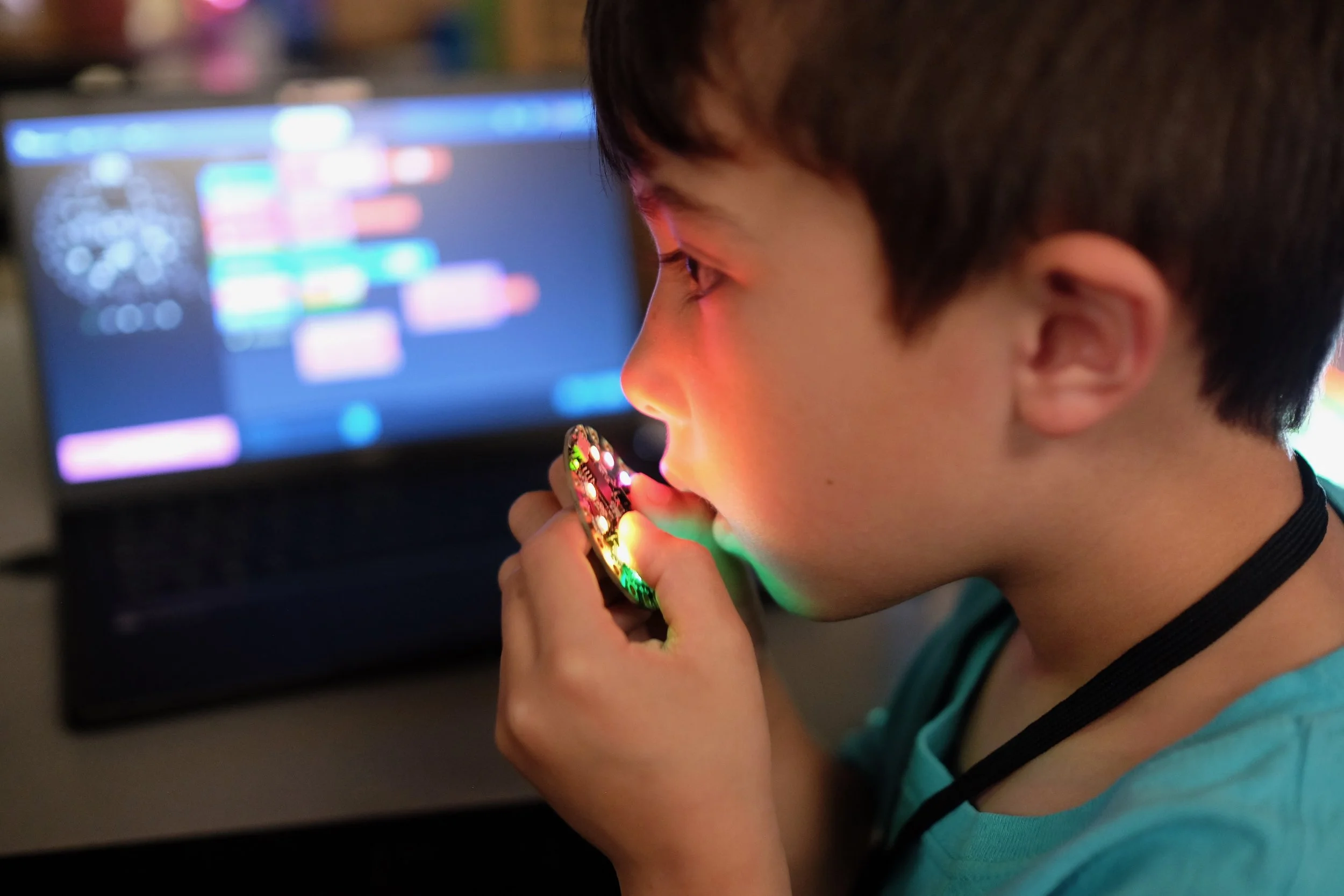 Facilitating Computational Tinkering