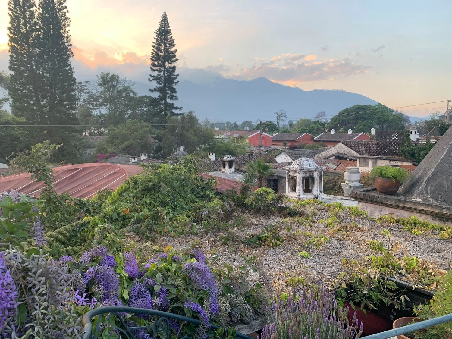 About — Freebird Writing