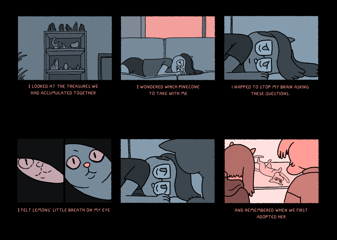 Comics — BENJI LEE