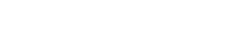 The DeLong Group
