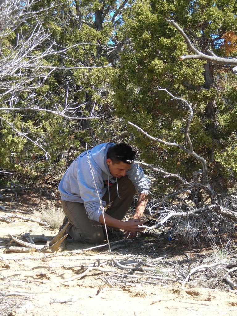 Wade Campbell — I Am A Scientist