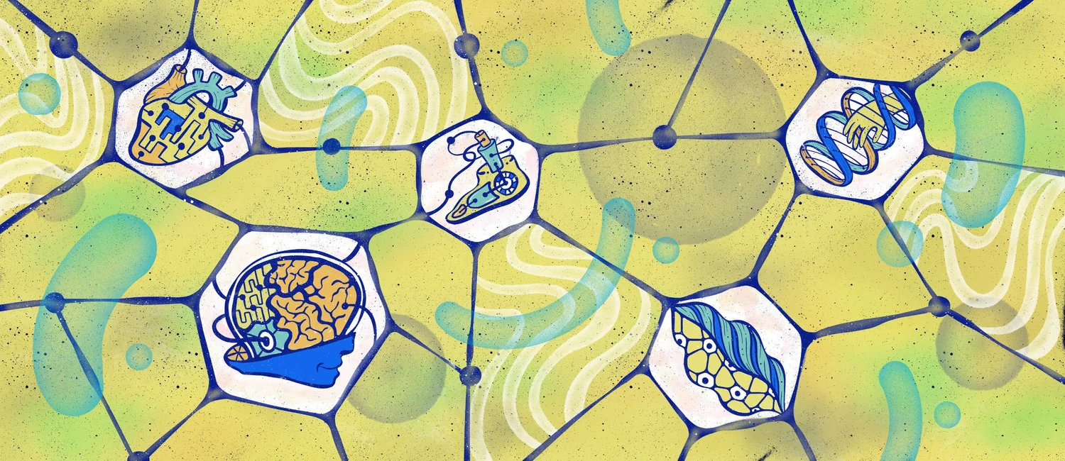 Superhuman Body Collection — I Am A Scientist