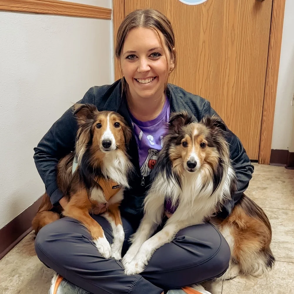 Our Team — Carlyle Animal Hospital