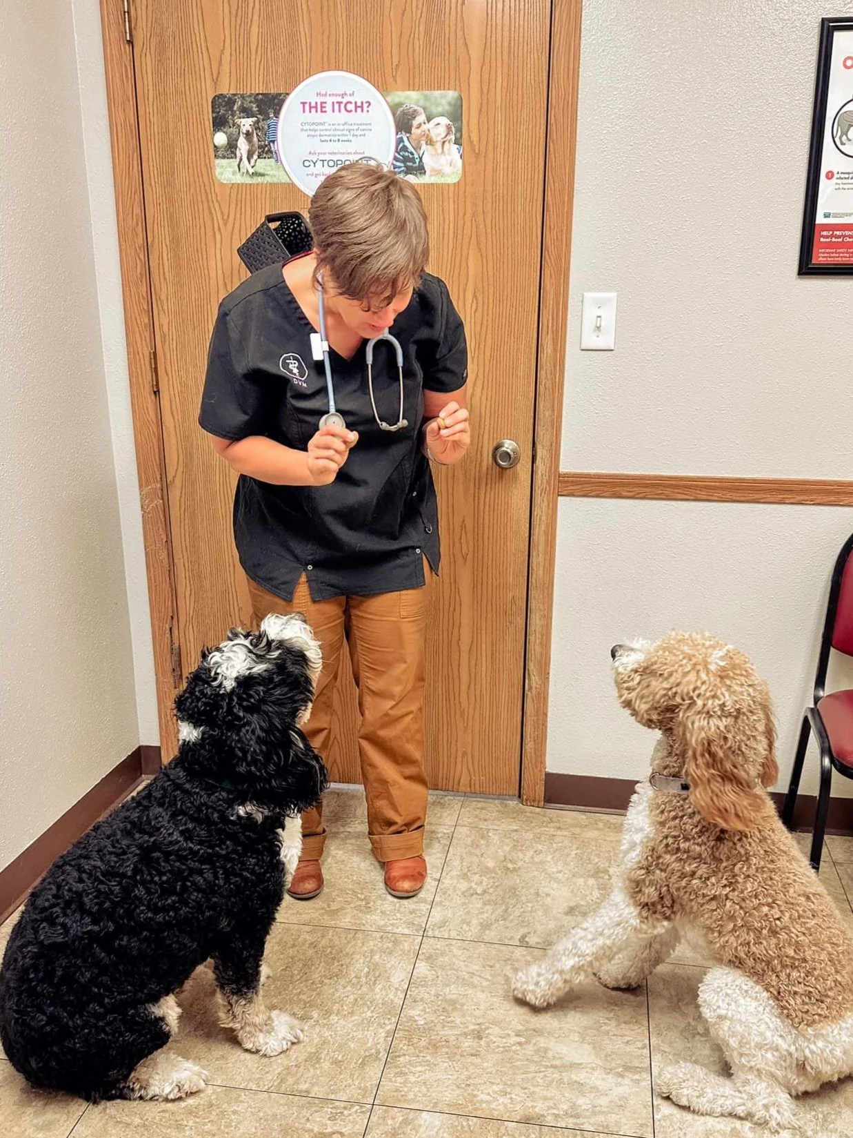 Dr. Scott BIO — Carlyle Animal Hospital