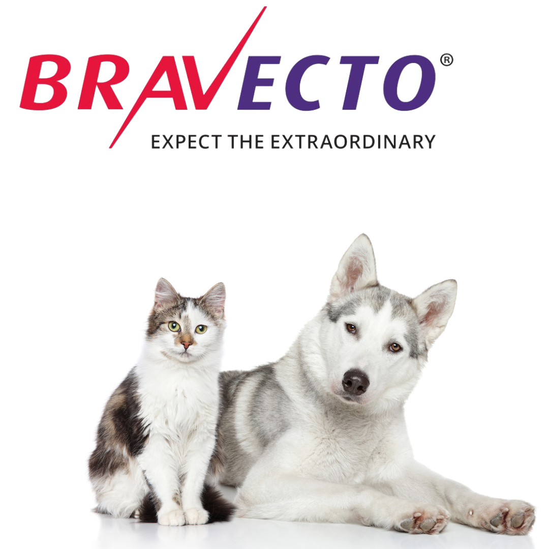 Popular Products — Carlyle Animal Hospital