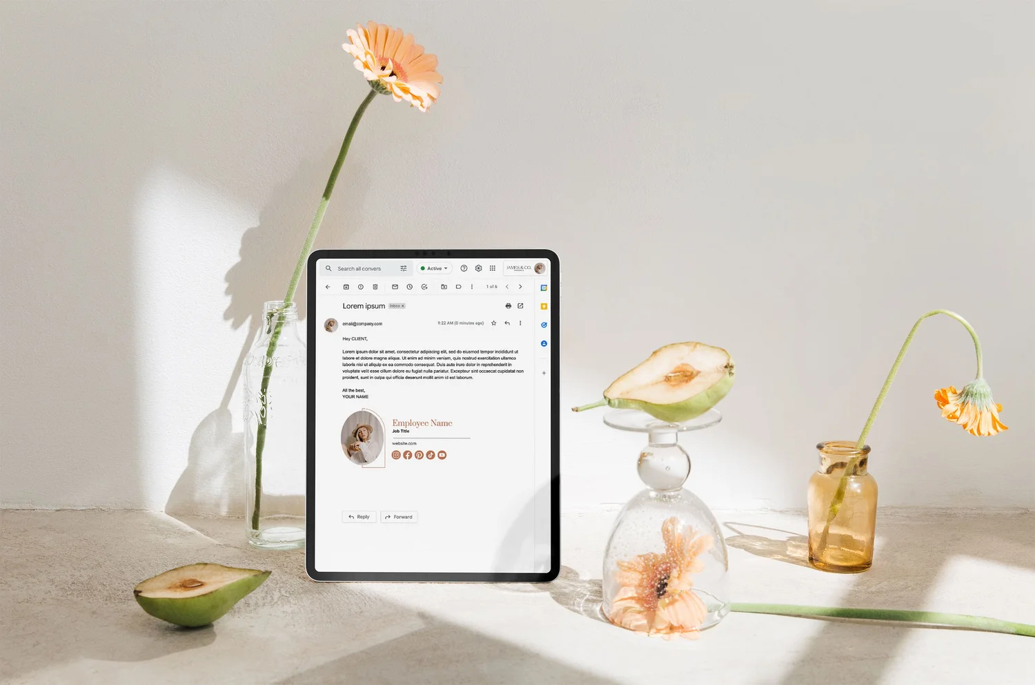 Email Signature Google Templates: Neutral Collection — Creative ...