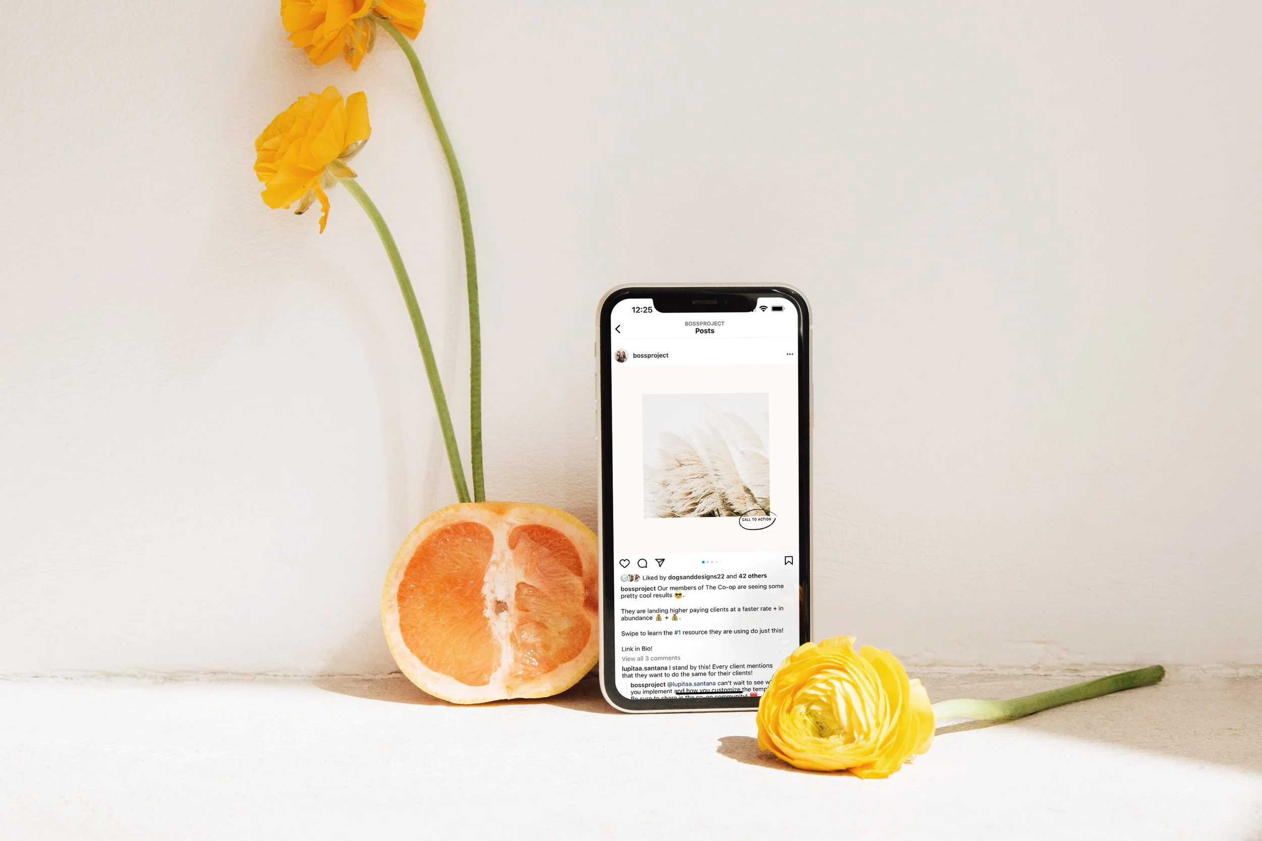 Hand-Drawn Animated Instagram Canva Templates: Soft Collection ...
