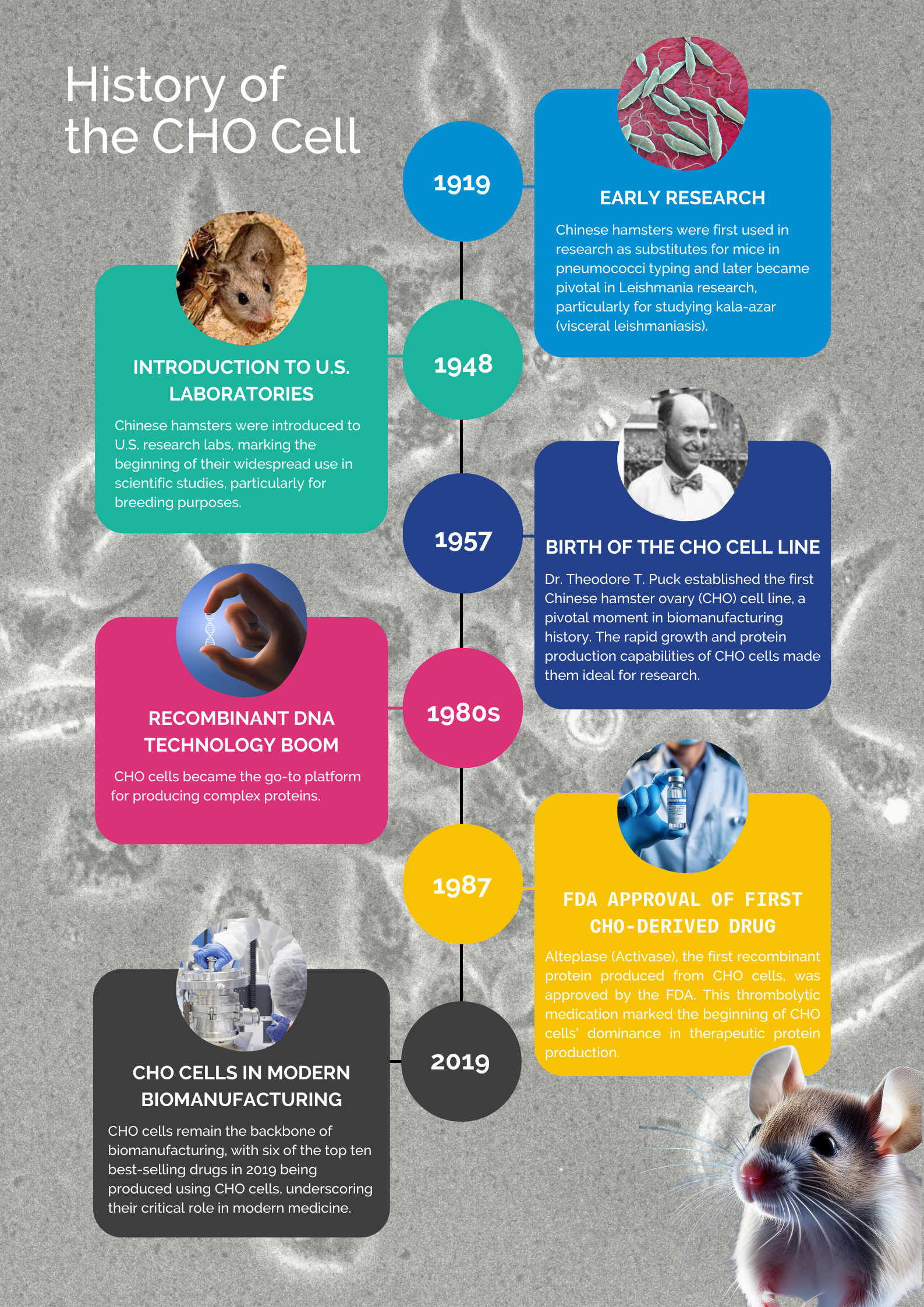 What Are CHO Cells? — BioTC Oklahoma