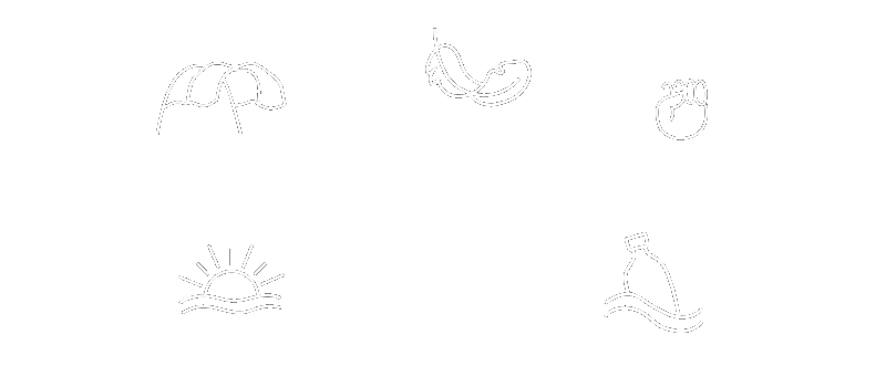 SHIBUMI — BALDWIN&