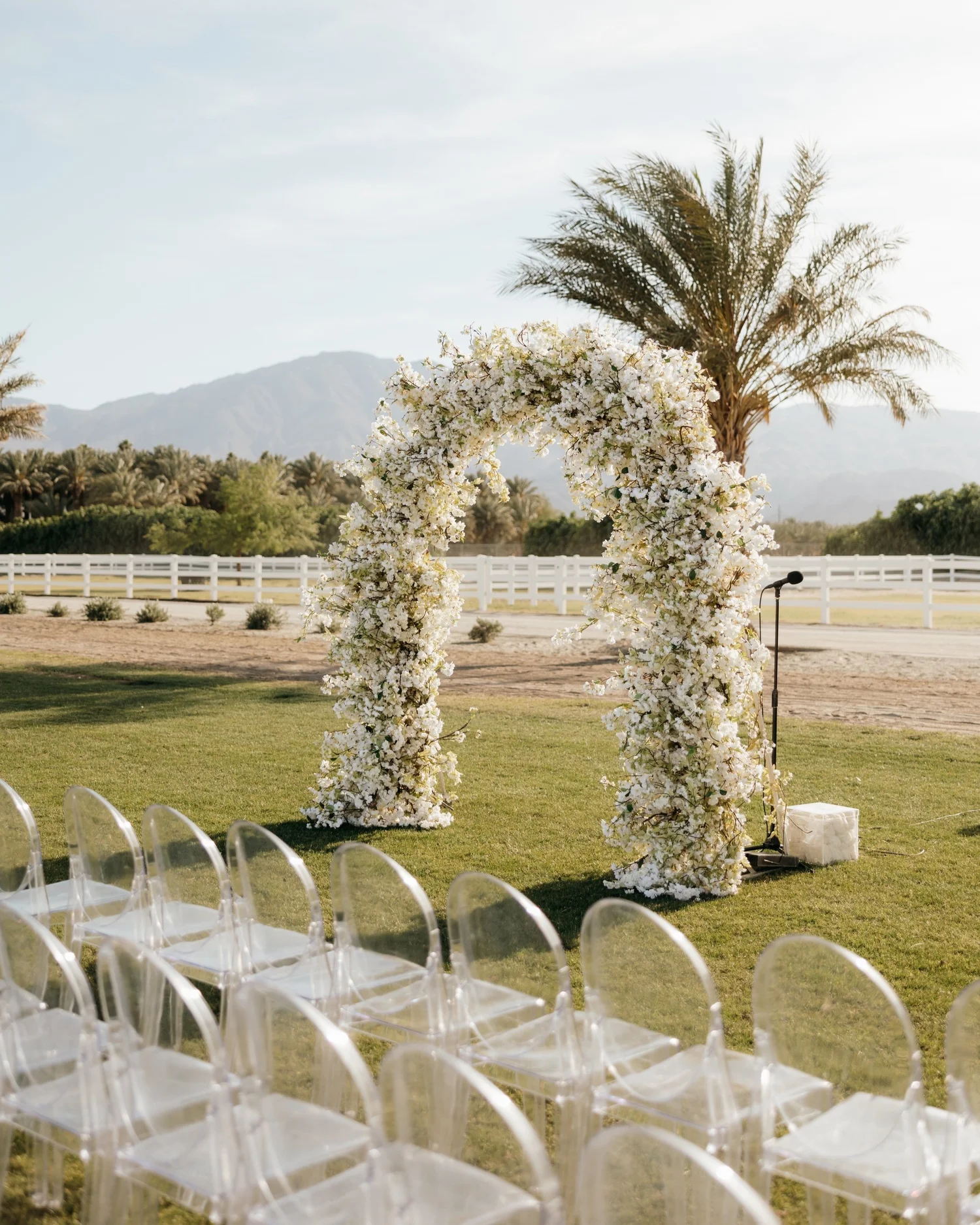 SAVANNAH + MATEO — luna design studios