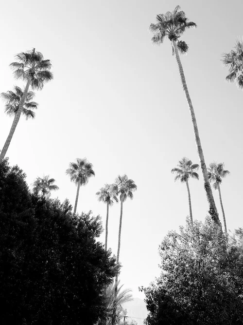 ALANA + ROB — luna design studios