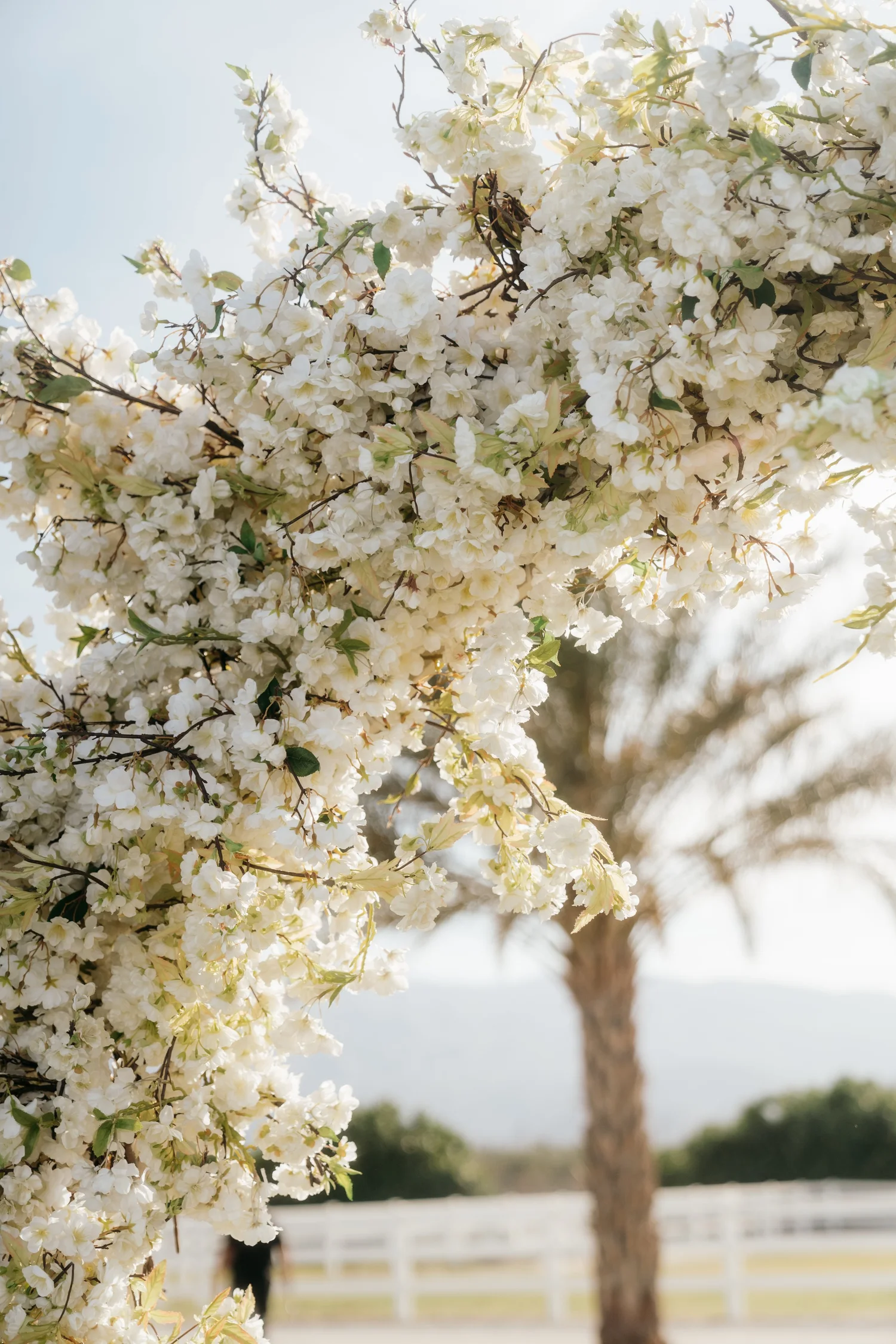 SAVANNAH + MATEO — luna design studios