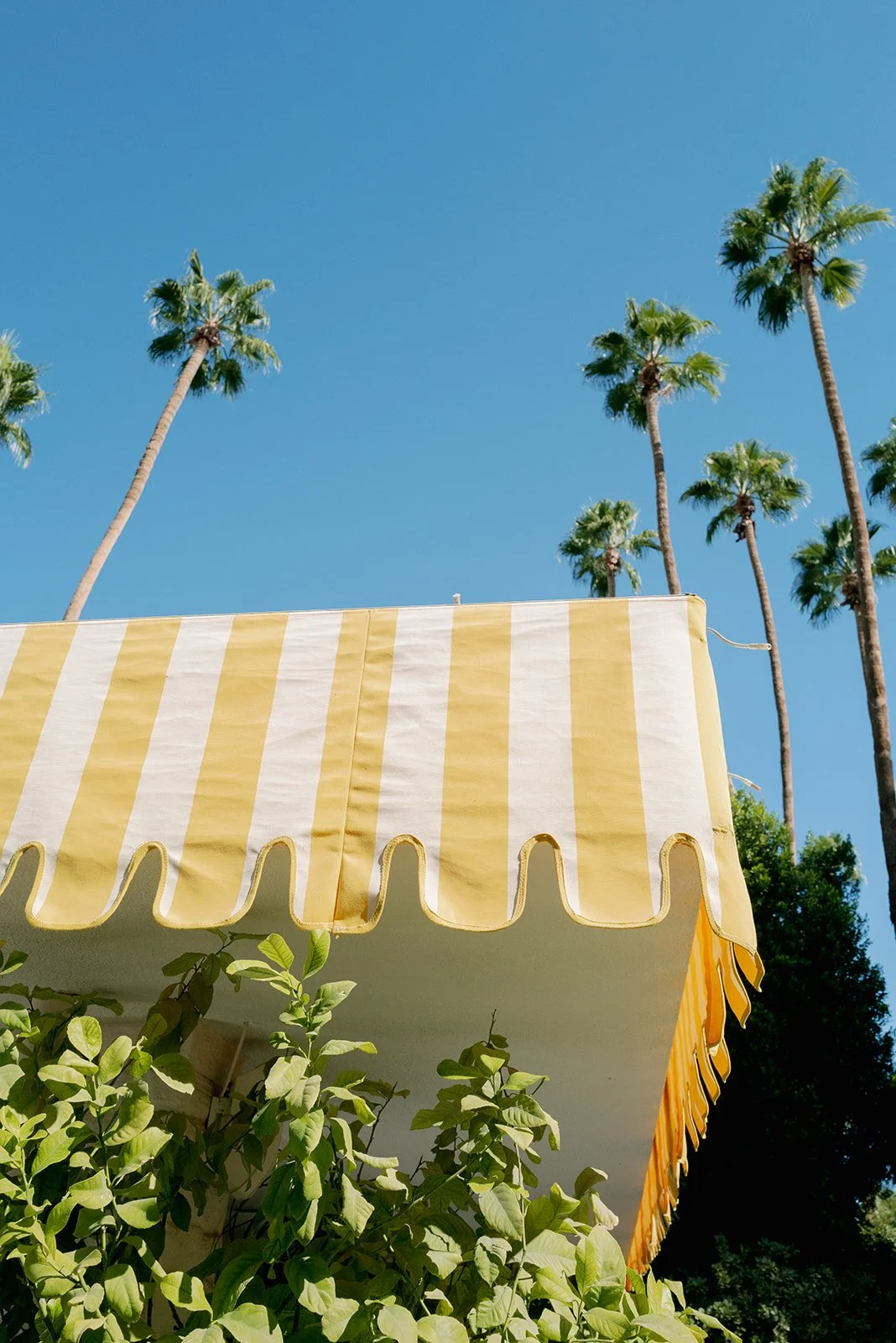 ALANA + ROB — luna design studios