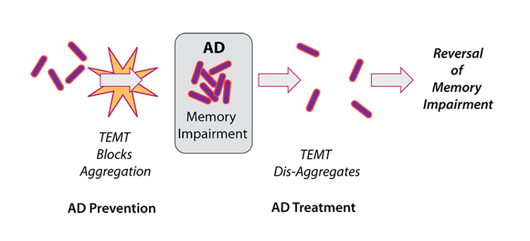 TEMT-RF Technology: NeuroEM's Approach to Alzheimer's Treatment — NeuroEM