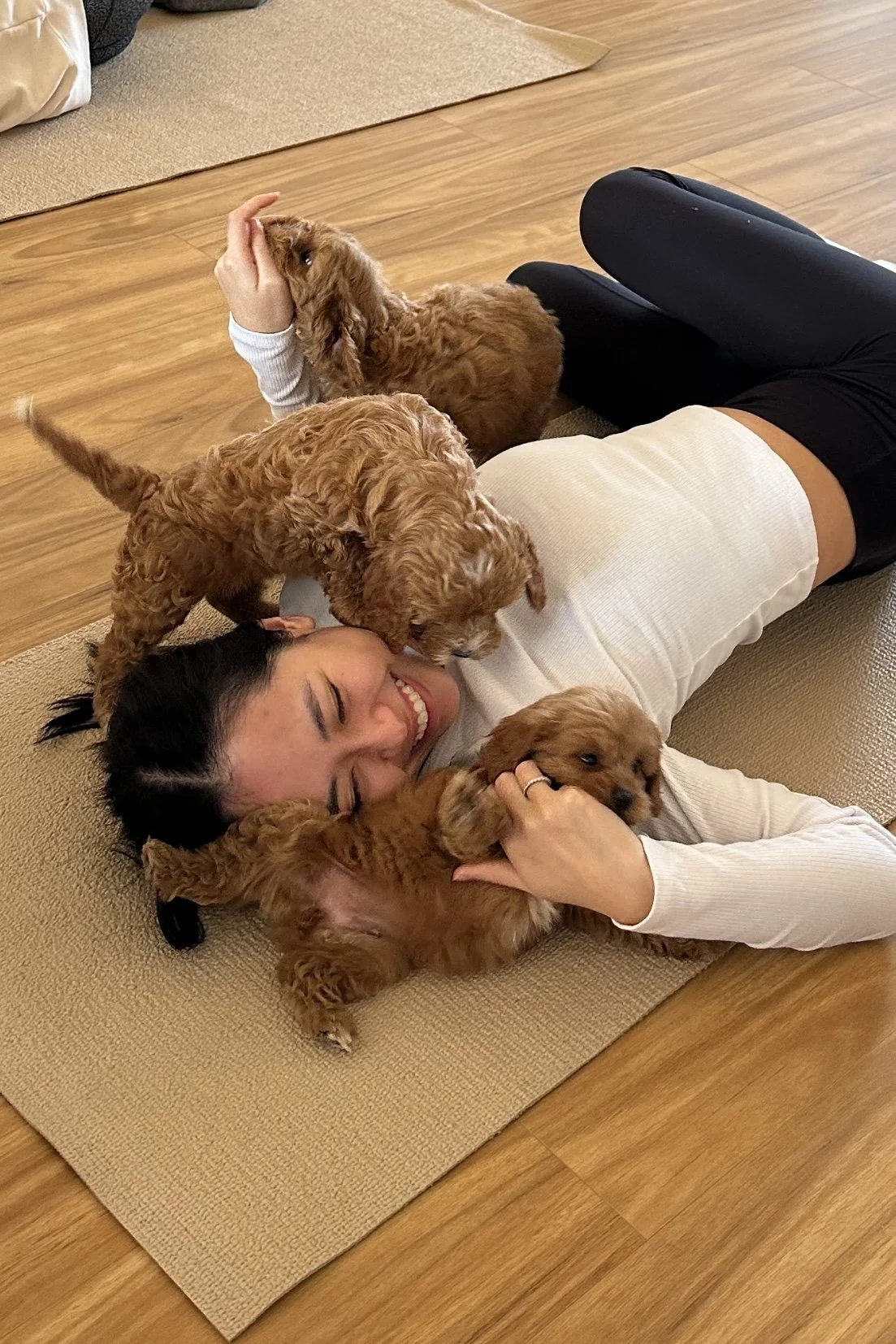 Pups & Poses — Soflo Studios