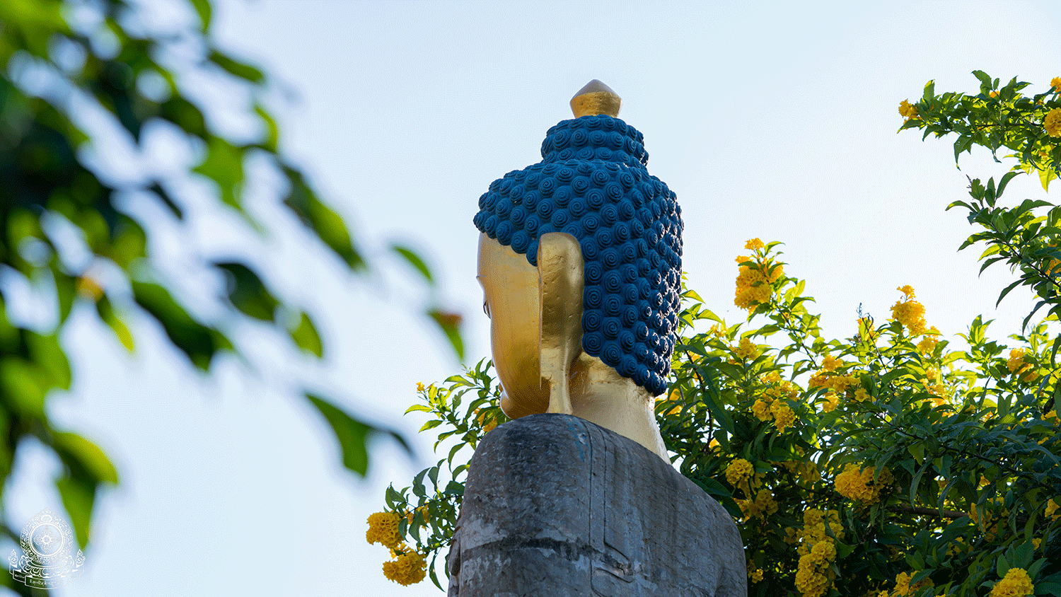 Contact Us — Tergar Sangha